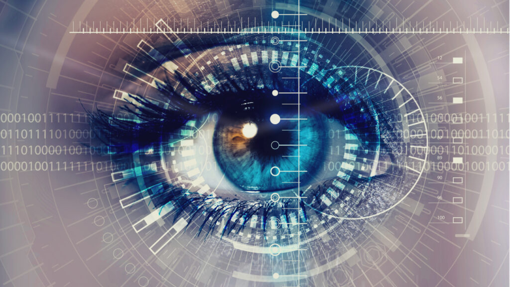 How computer vision model architecture and training affect performance ...